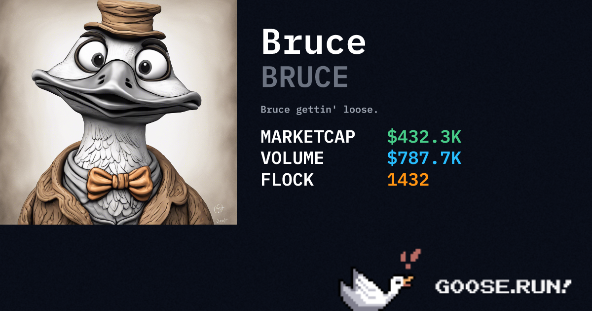 goose.run